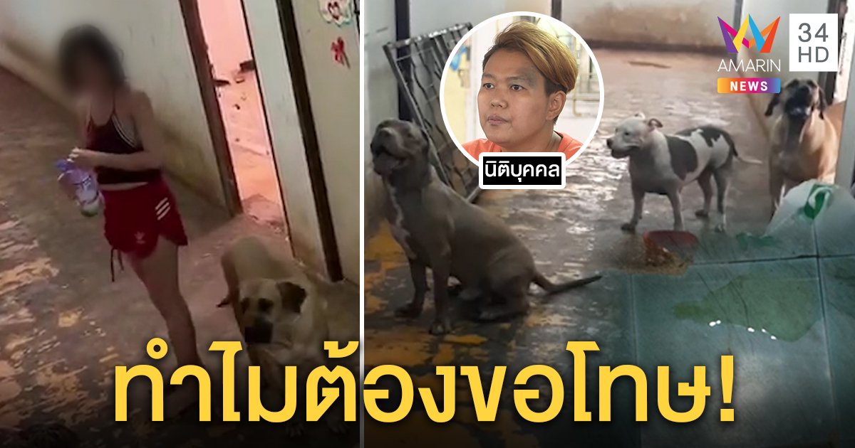 เจ้าของเลี้ยง 7 พิตบูลในคอนโด ลั่นไม่ขอโทษ 3 วันย้ายออก นิติฯ แฉทำตัว ...
