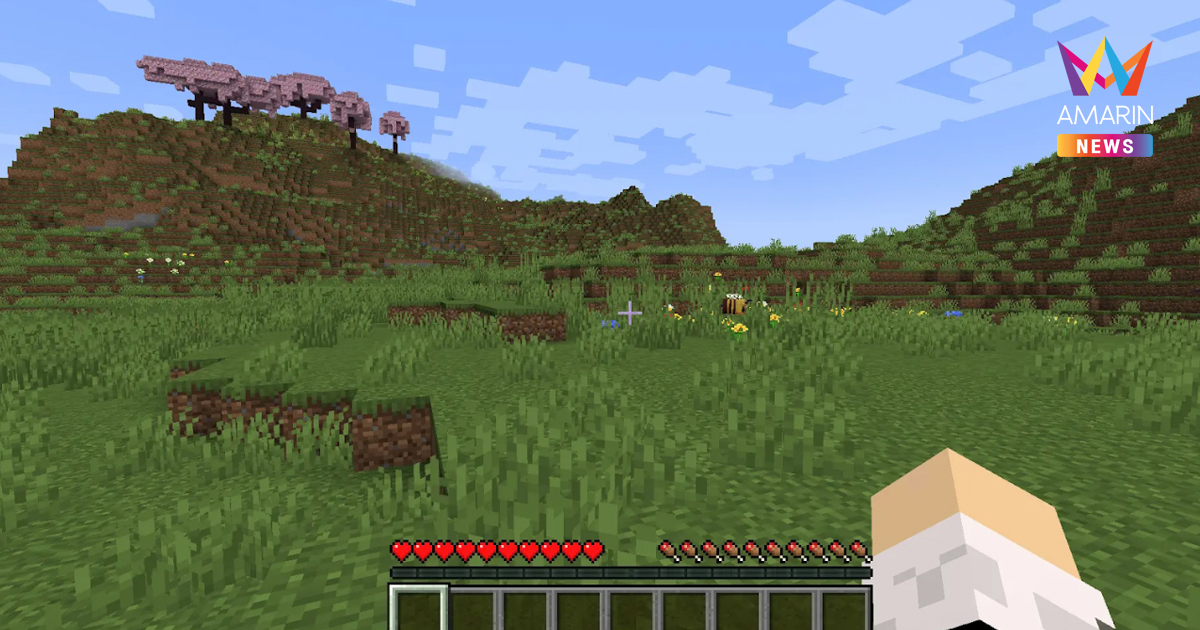 VisperHost ผู้ให้บริการ Minecraft Hosting อันดับ 1 ในไทย เปิดเซิฟเกมเล่นกับเพื่อนได้ง่ายๆ