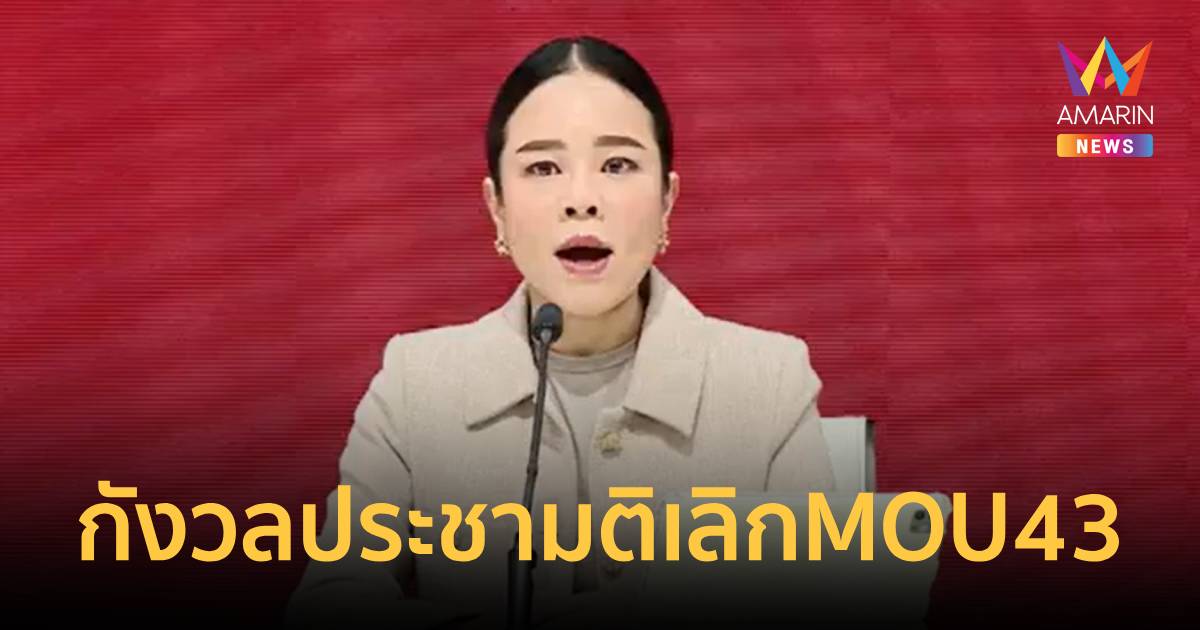 "เพื่อไทย" กังวลรัฐบาลอนุทินทำประชามติยกเลิก MOU43- 44หวังผลความนิยม